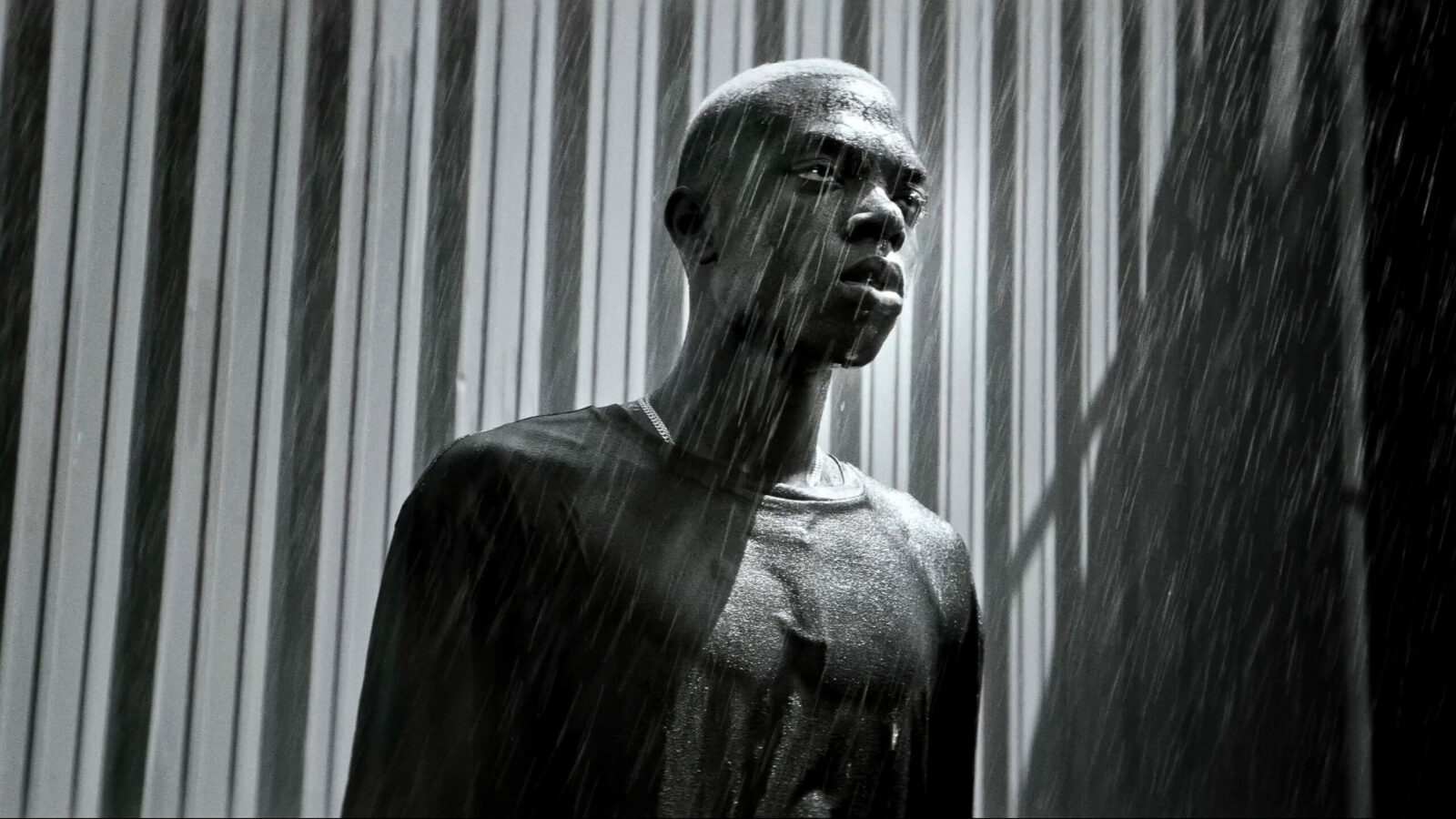 Scotty Simper • Dissidence Production